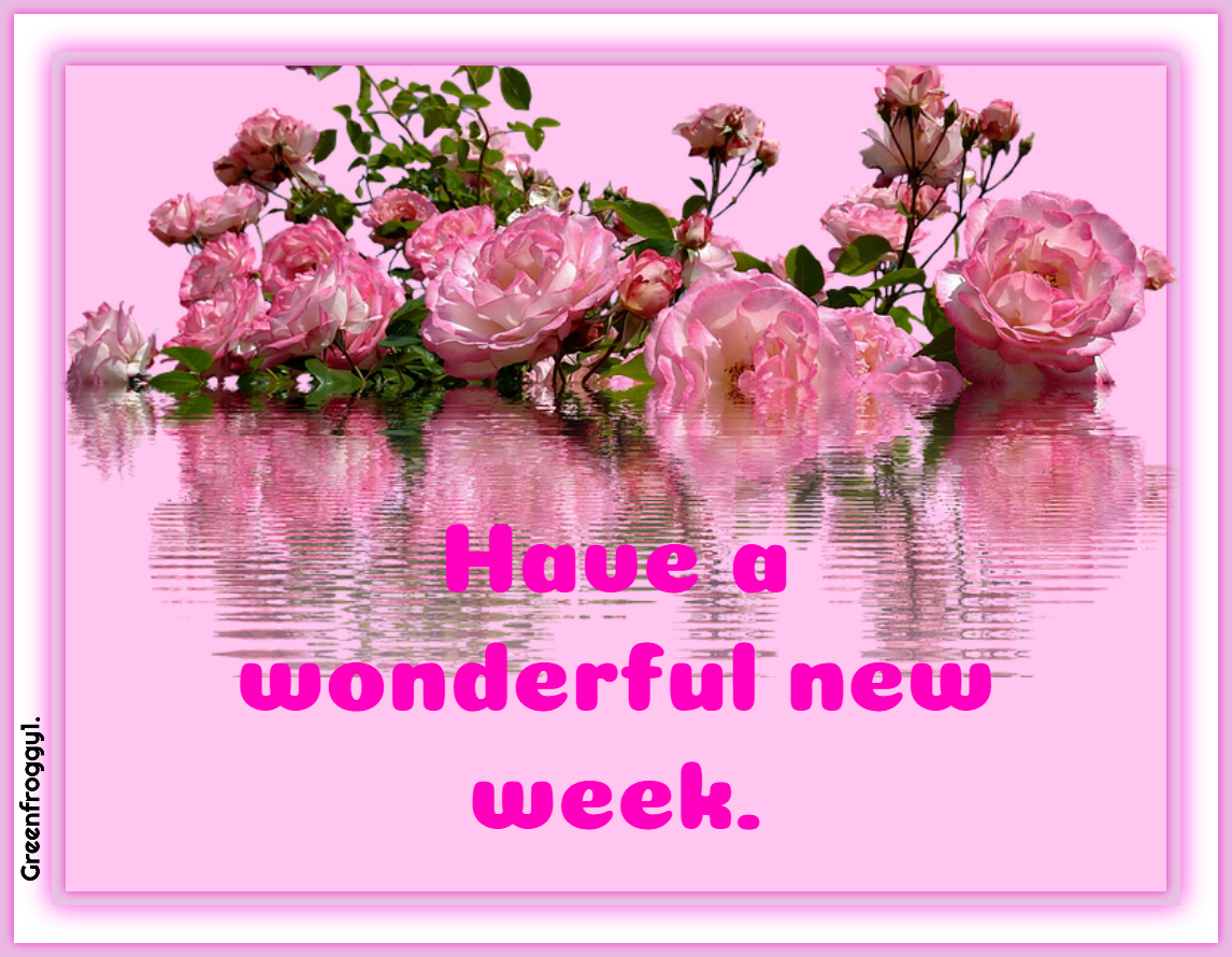 WONDERFUL WEEK by GREENFROGGY1