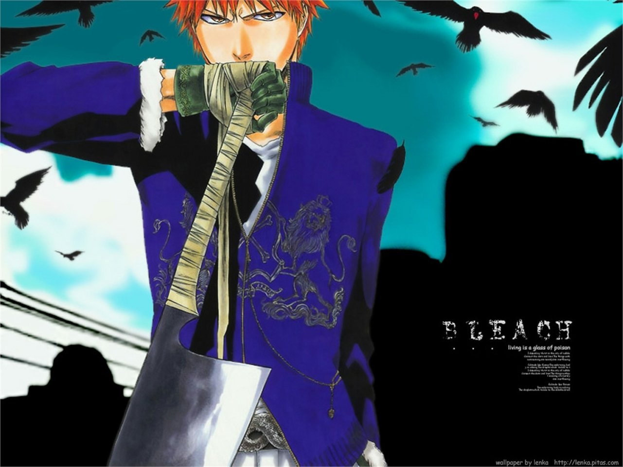 Bleach Image - ID: 431202 - Image Abyss