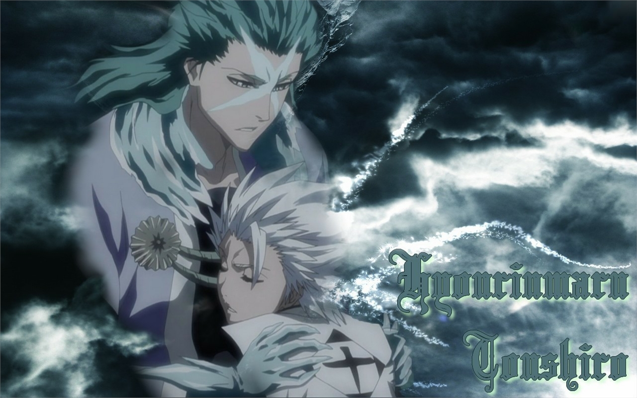 Bleach Hitsugaya And Hyourinmaru
