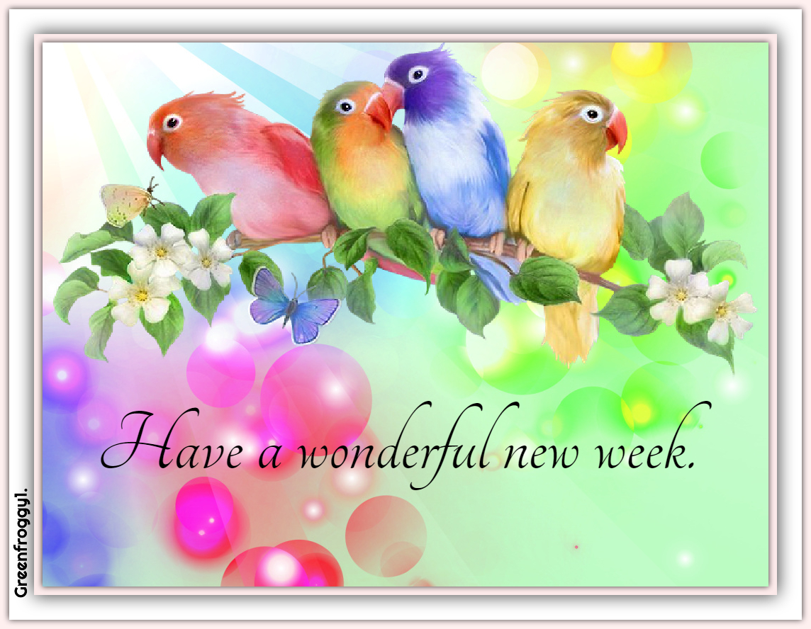 WONDERFUL WEEK by GREENFROGGY1