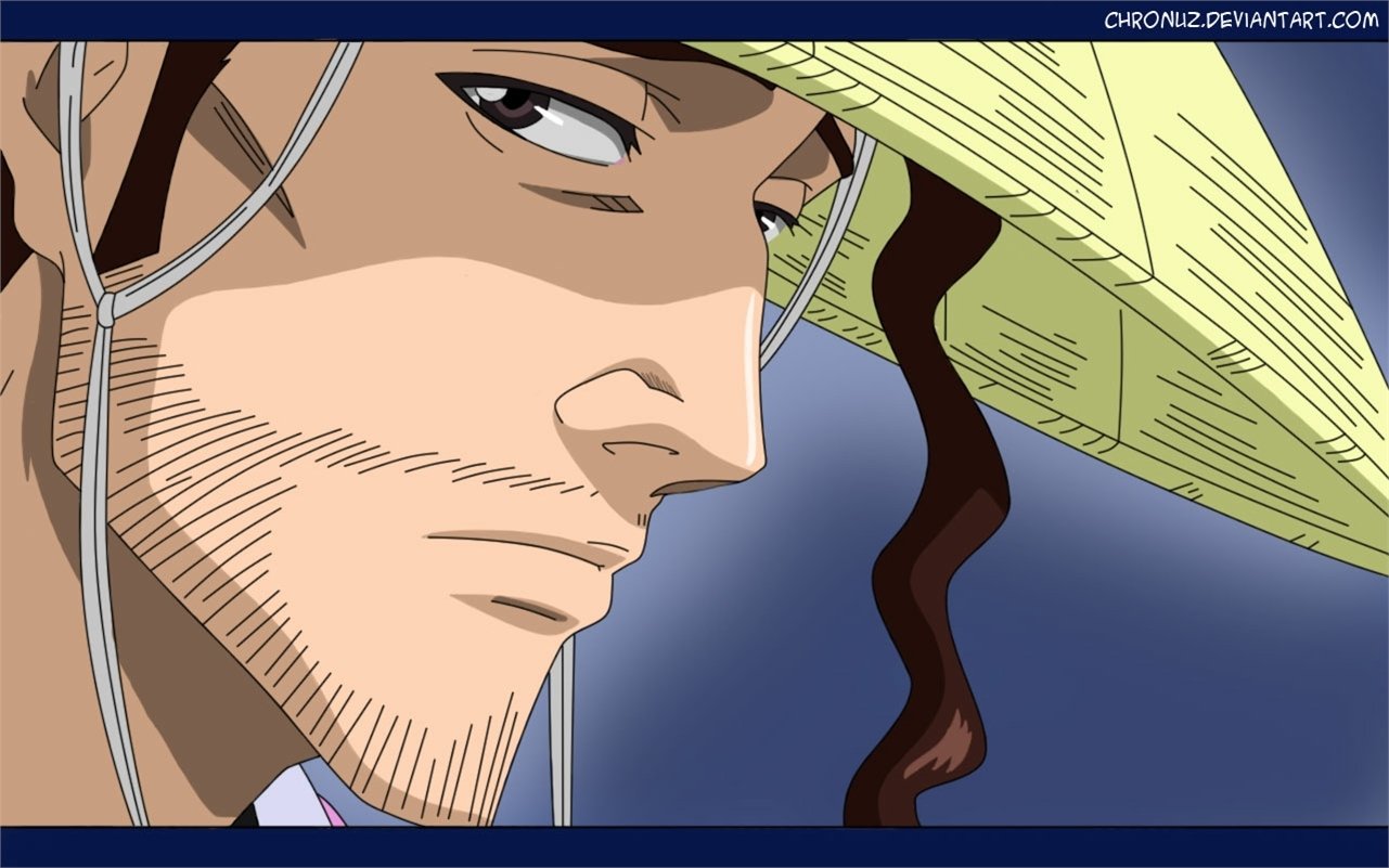 Shunsui Kyōraku - Desktop Wallpapers, Phone Wallpaper, PFP, Gifs, and More!