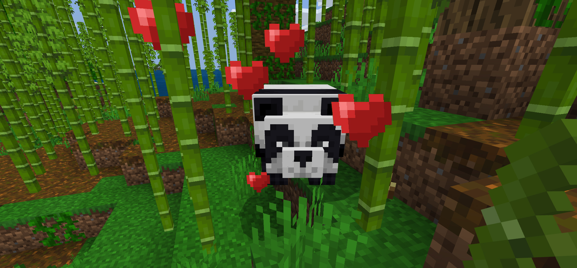 living love with panda - Image Abyss