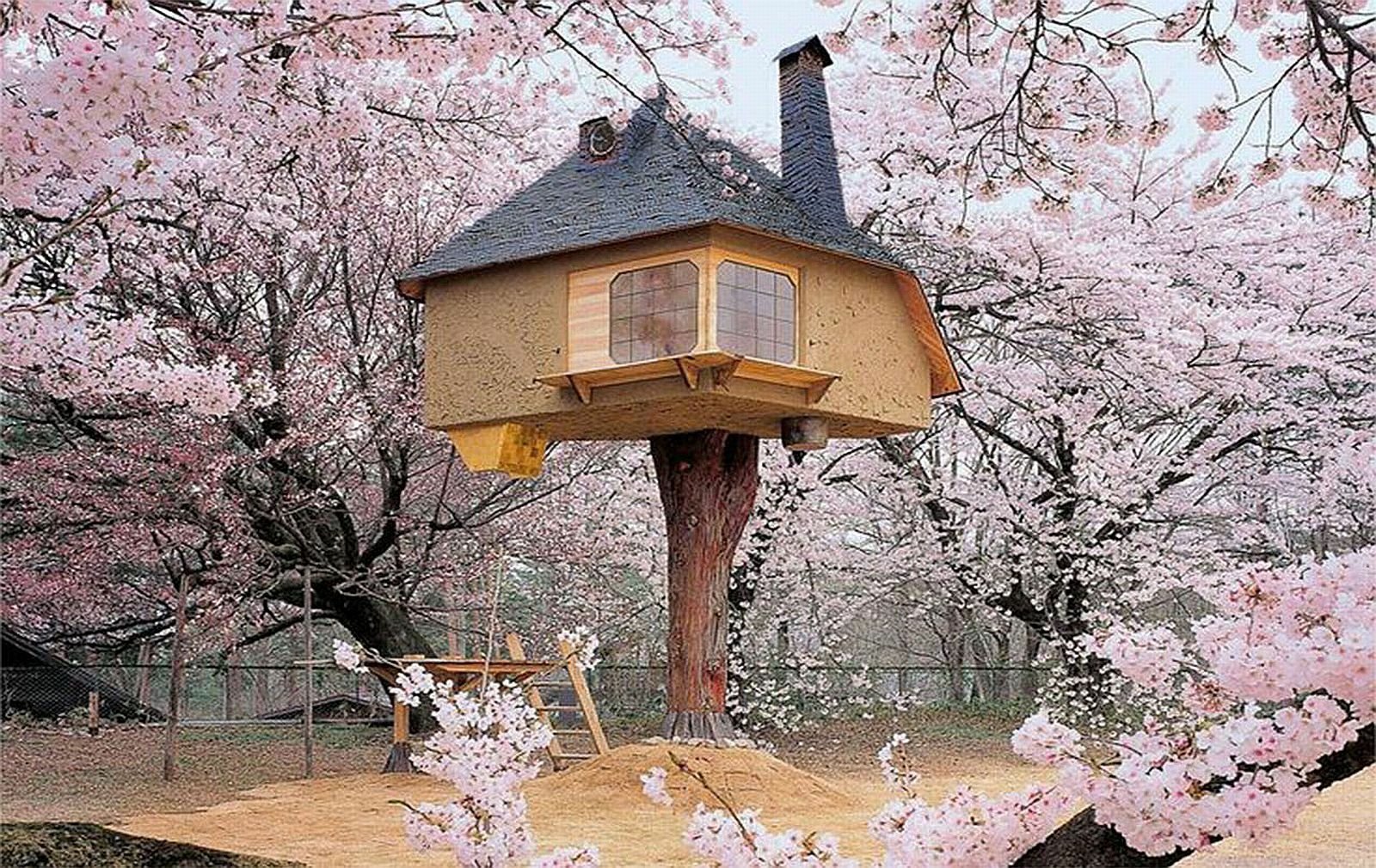 Charming Treehouse Among Blossom