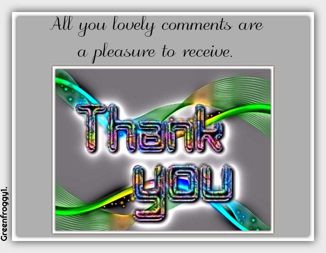 THANK YOU Image - ID: 440395 - Image Abyss