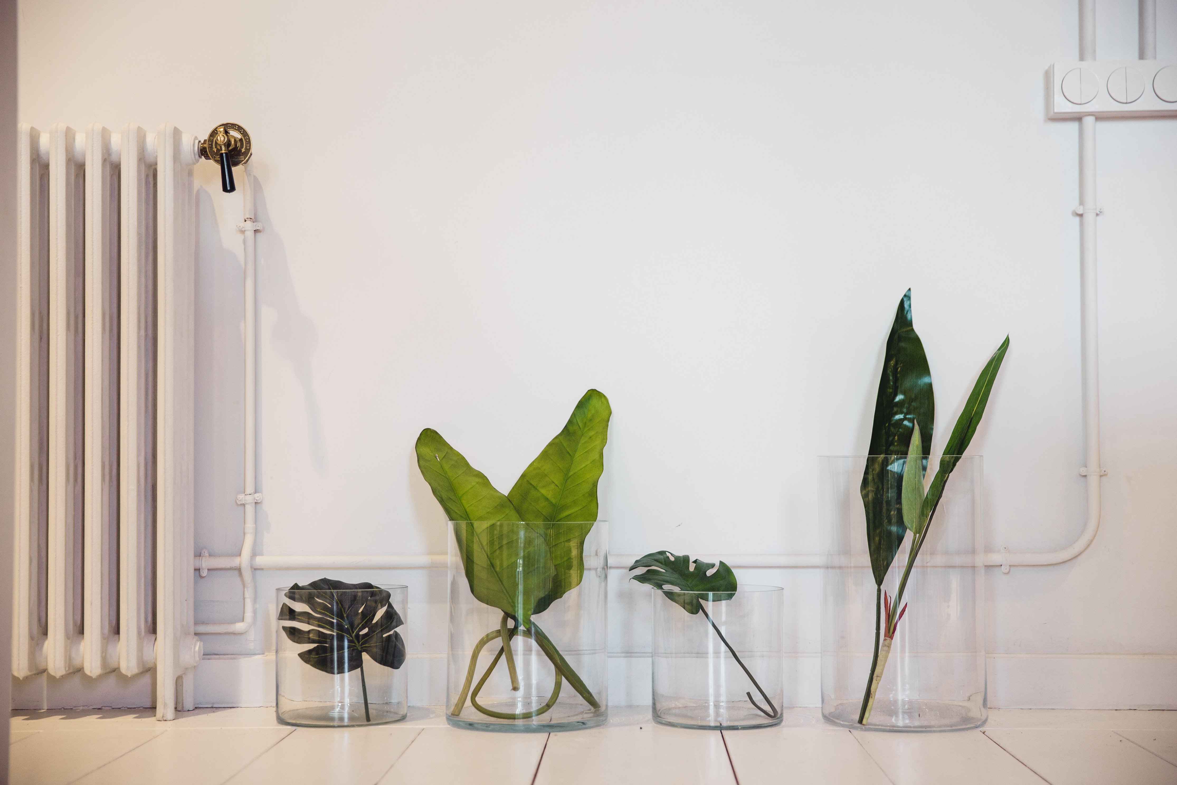 Download Leaf Photography Still Life Image