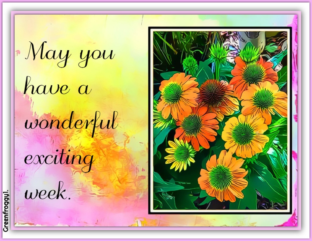 EXCITING WEEK by GREENFROGGY1