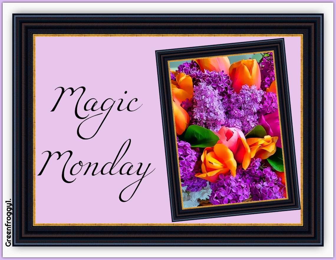 MAGIC MONDAY by GREENFROGGY1