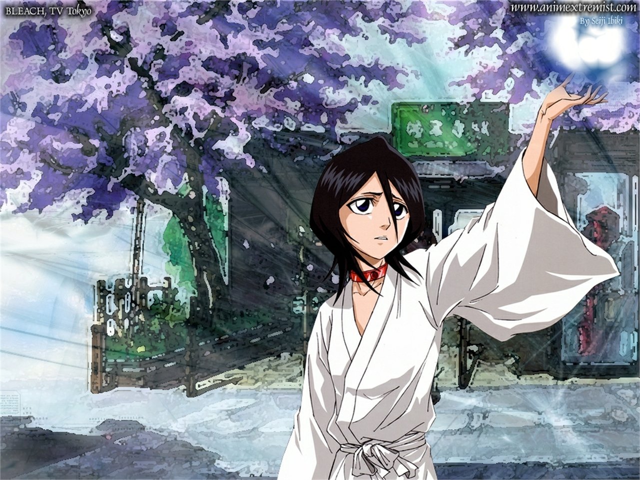 Download Rukia Kuchiki Anime Bleach Image