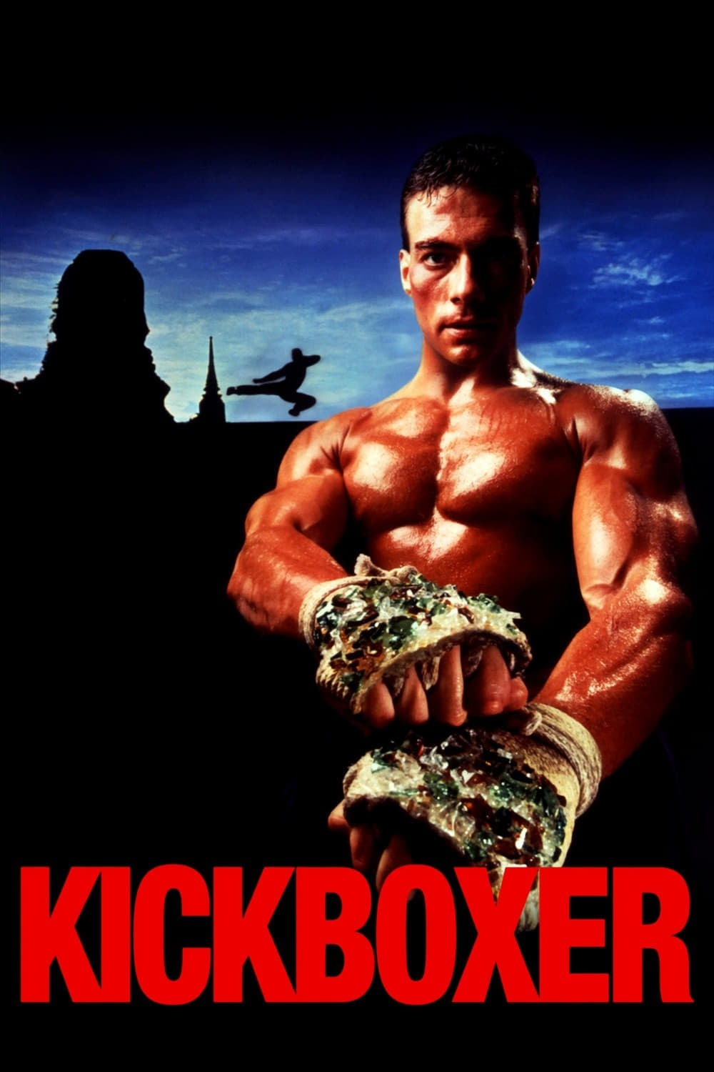 Kickboxer Picture - Image Abyss