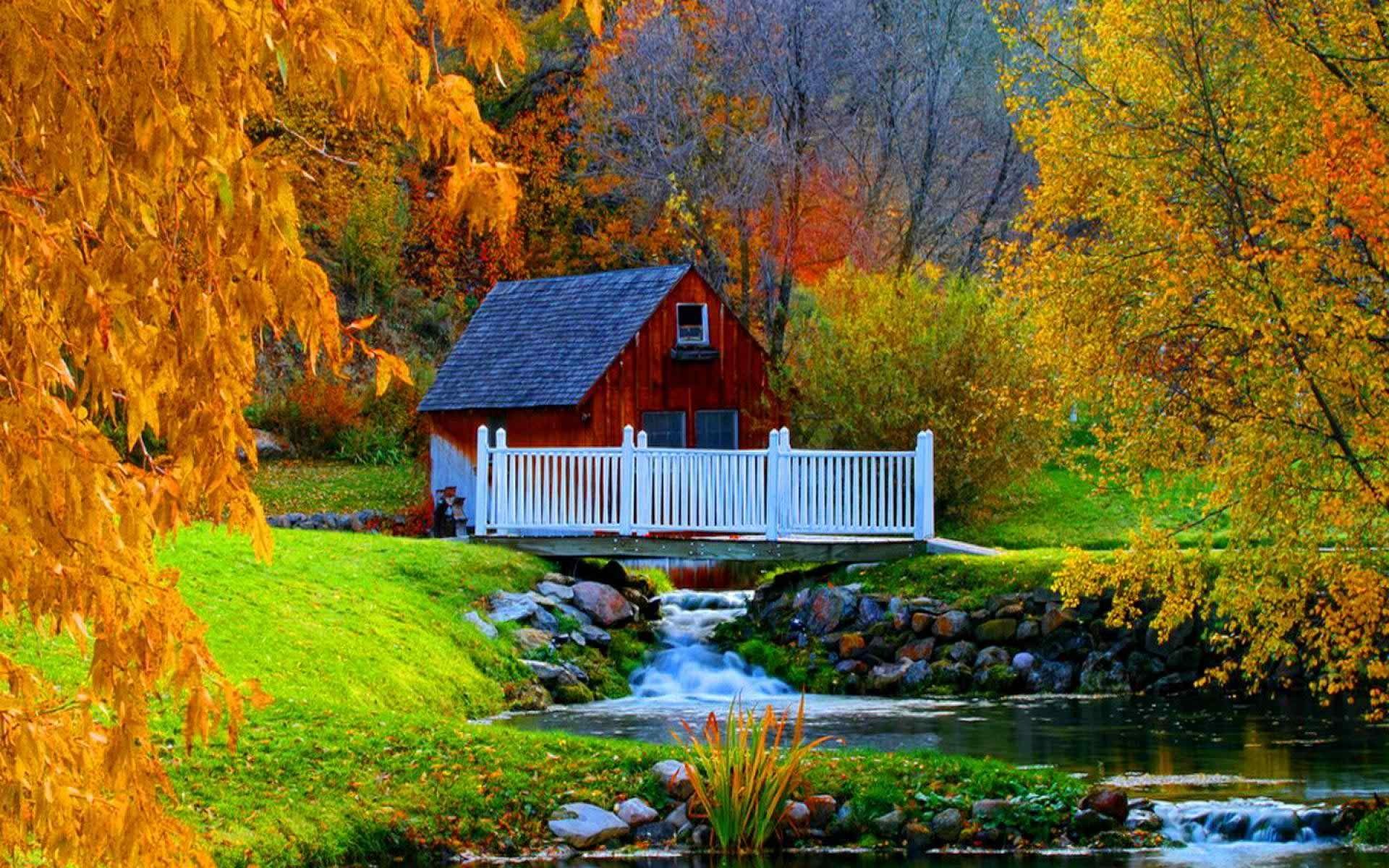 Charming House by the Stream in Autumn Splendor
