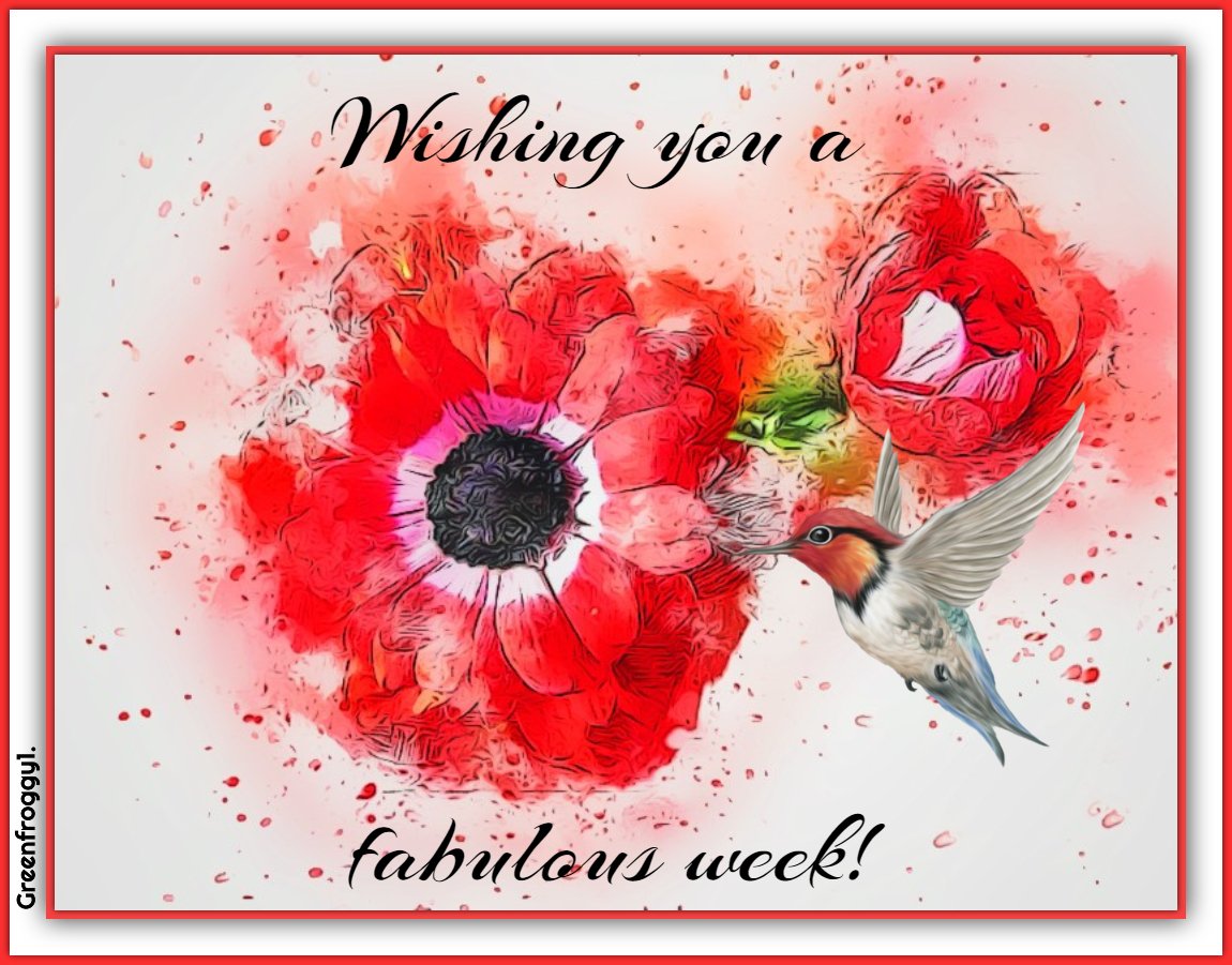 FABULOUS WEEK Image - ID: 455025 - Image Abyss