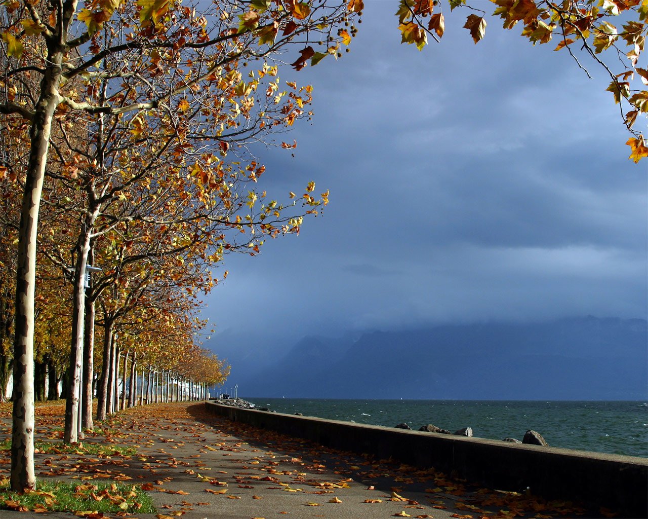 Autumn Serenity: A Coastal Landscape in Fall