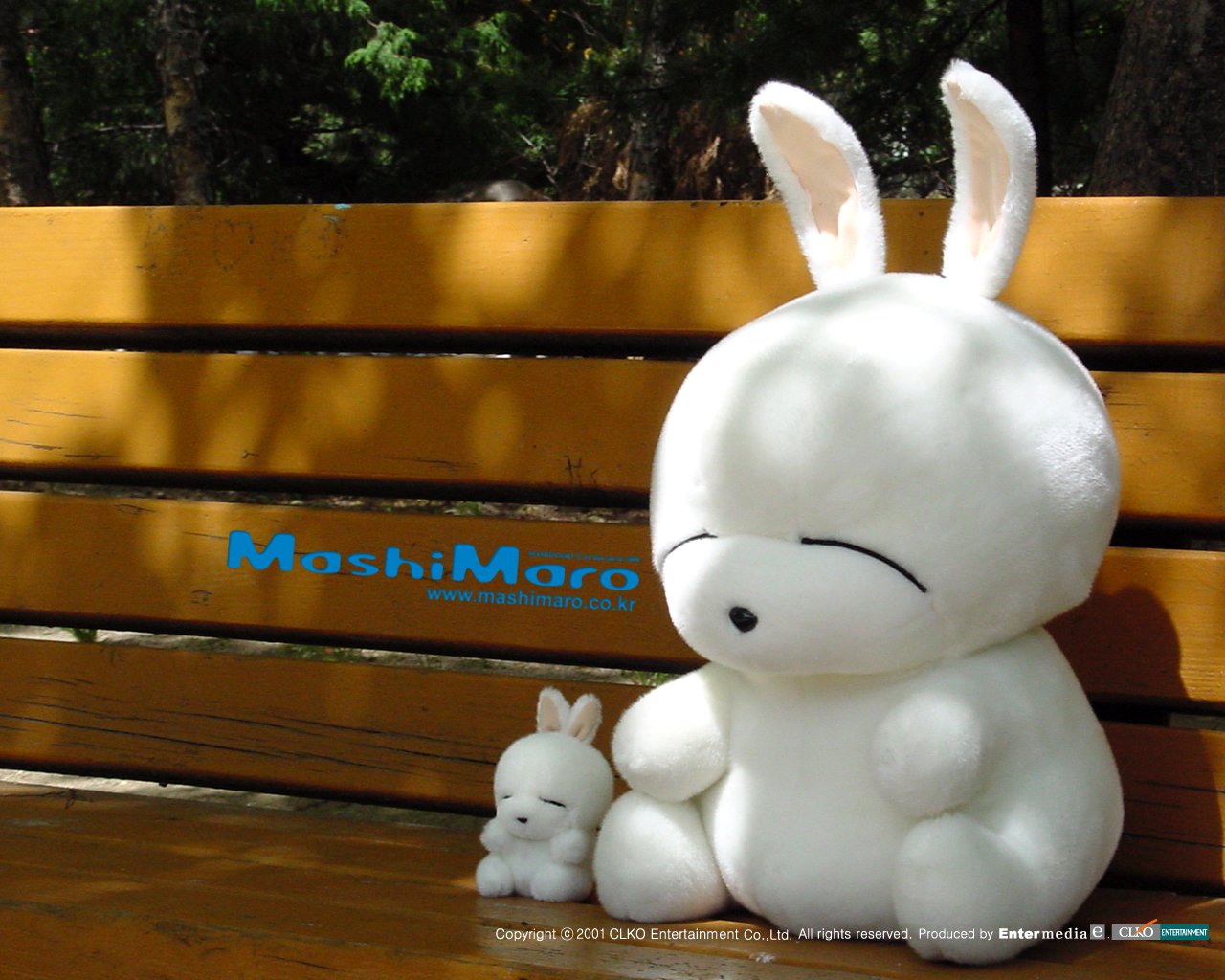 MashiMaro: Whimsical Man-Made Companions