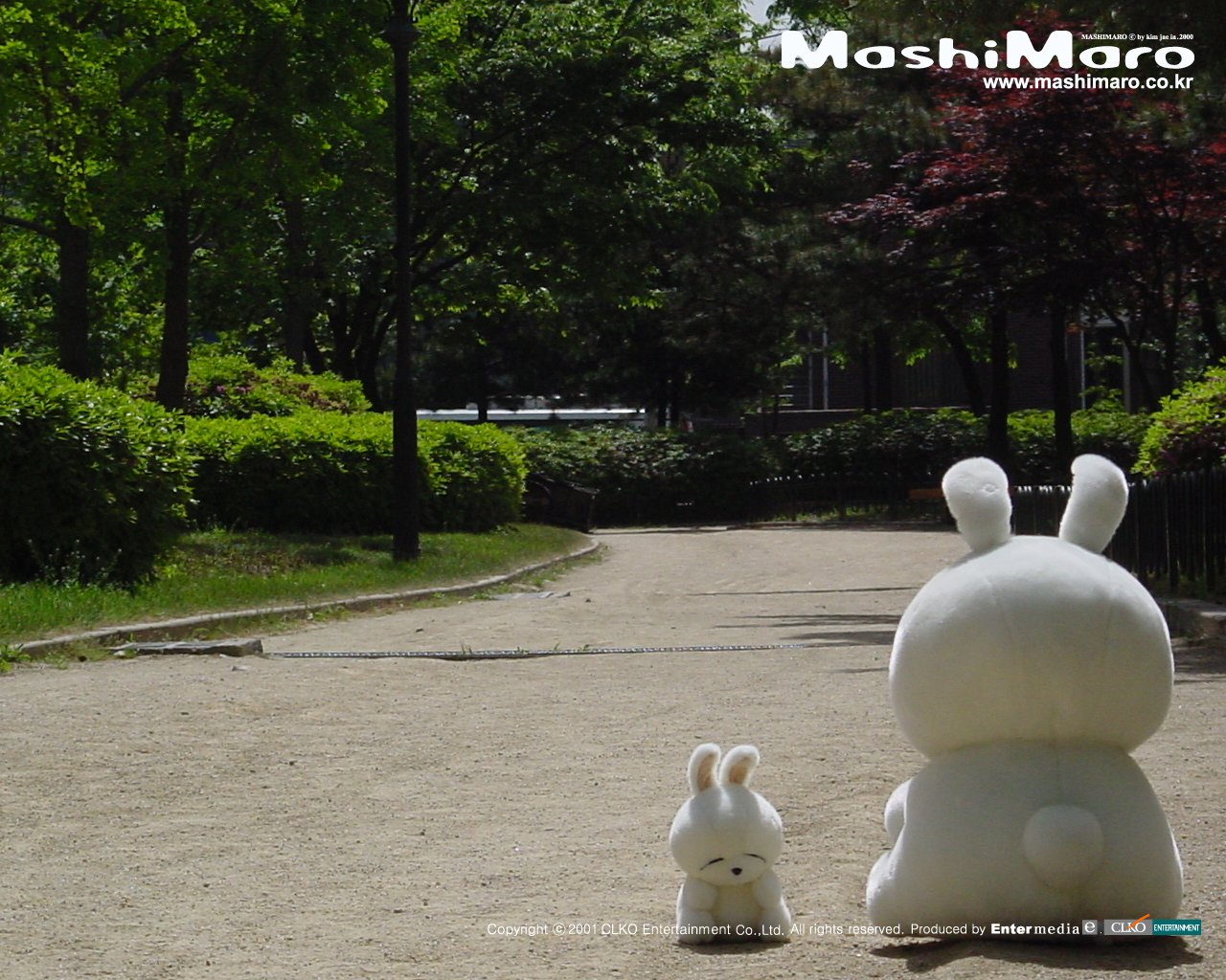 MashiMaro - Desktop Wallpapers, Phone Wallpaper, PFP, Gifs, and More!