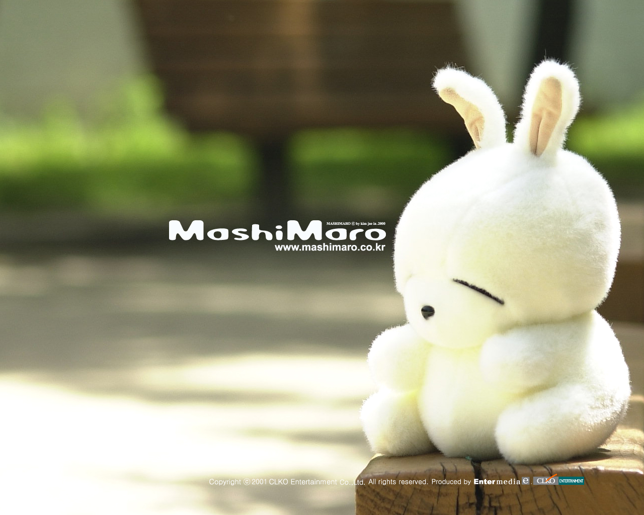 Download Man Made MashiMaro Image