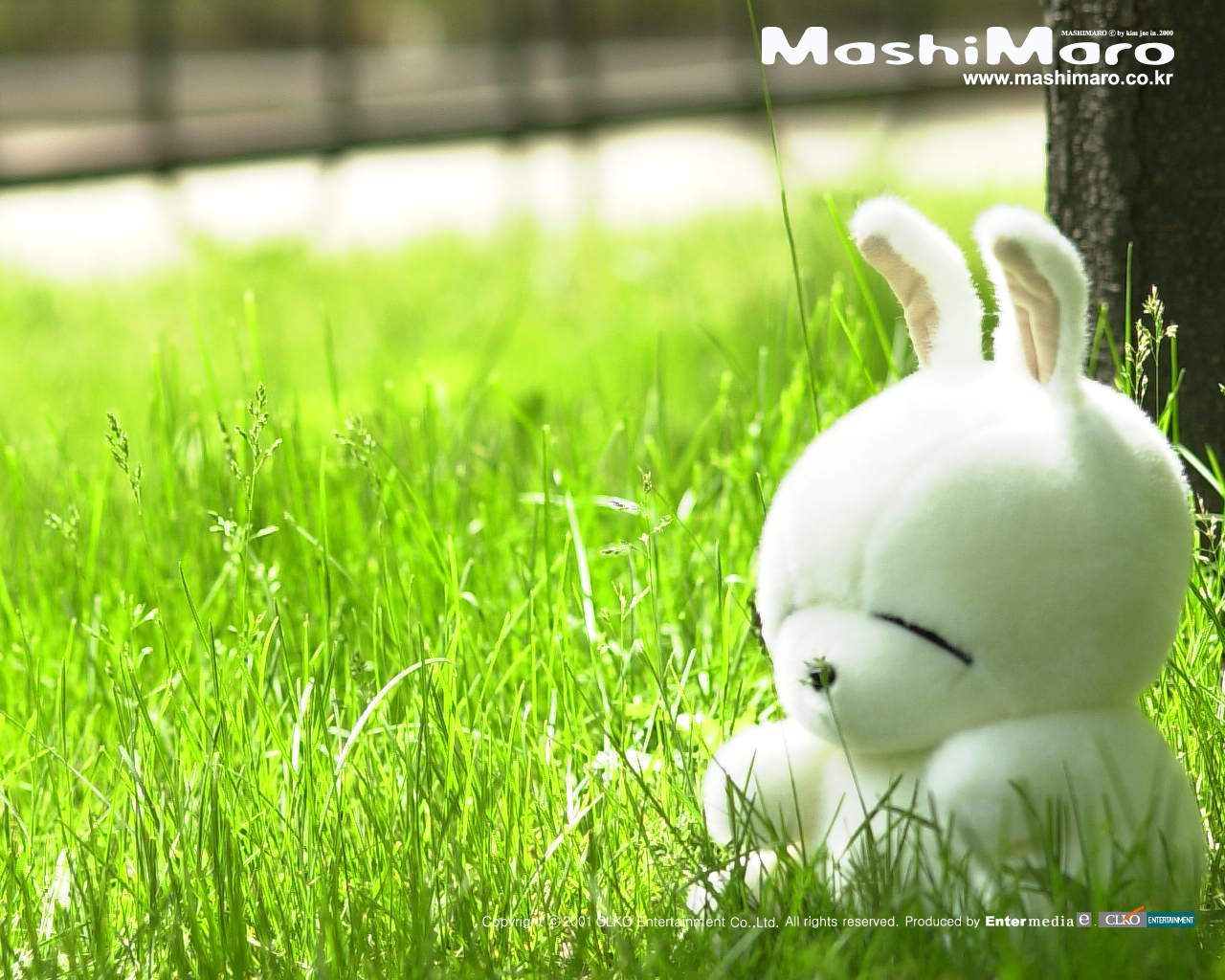 MashiMaro: A Whimsical Plush in Nature