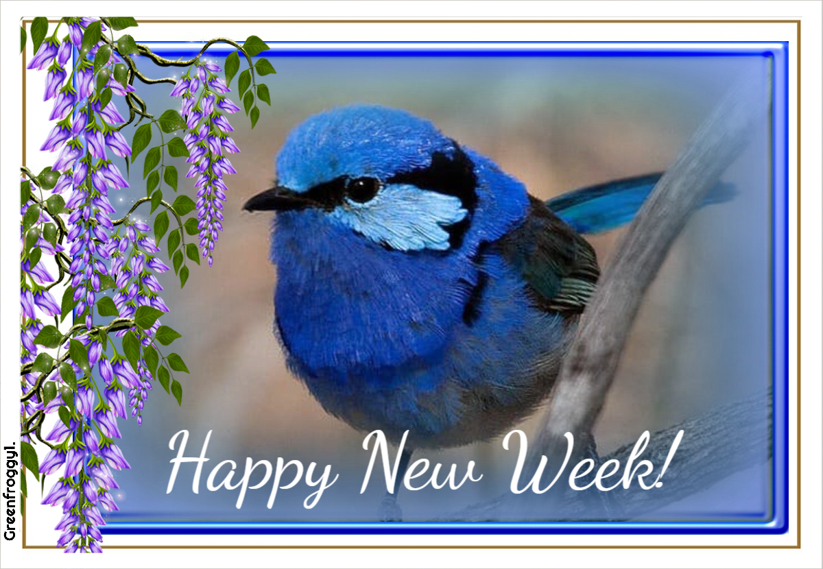 HAPPY NEW WEEK by GREENFROGGY1