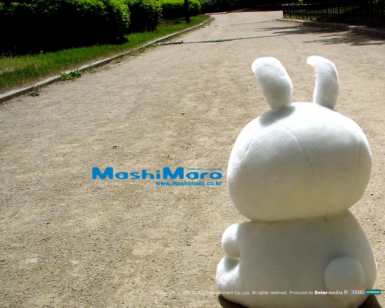 MashiMaro - Desktop Wallpapers, Phone Wallpaper, PFP, Gifs, and More!