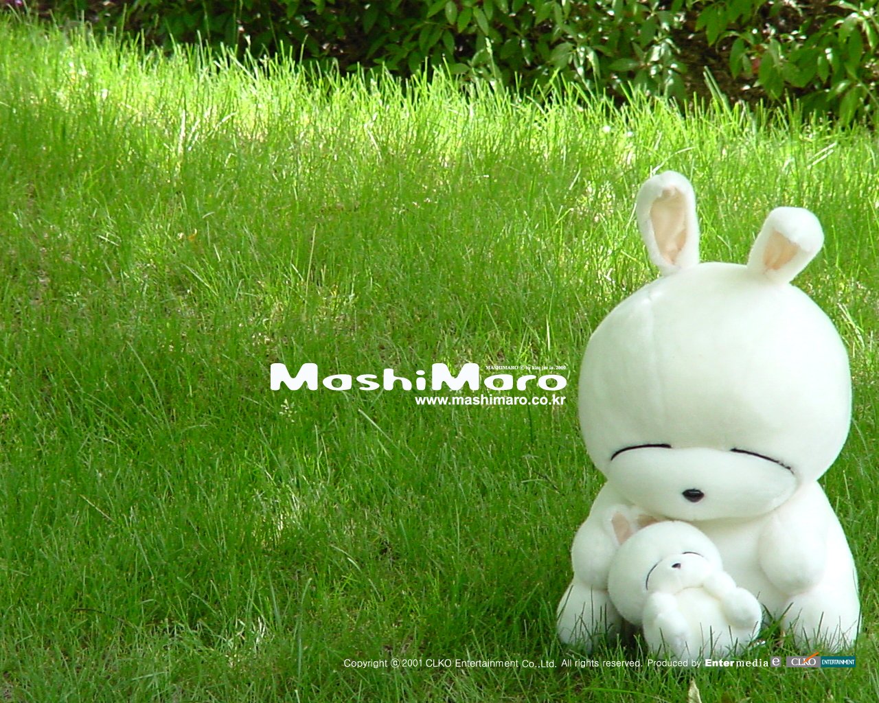 Mashimaro Plush