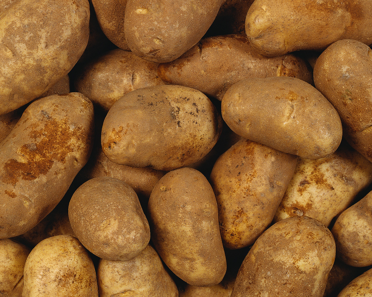 Delicious Potatoes: Nature's Versatile Food