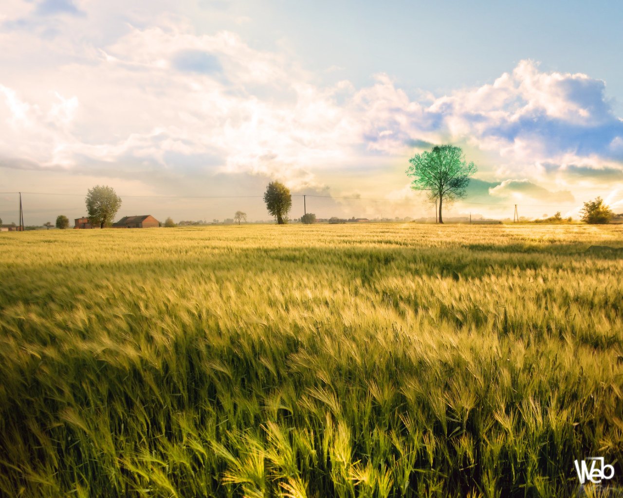 Field Picture - Image Abyss