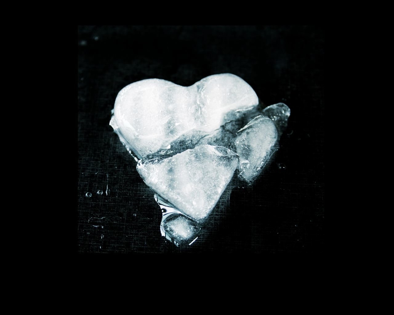 Frozen Love: The Art of an Icy Heart