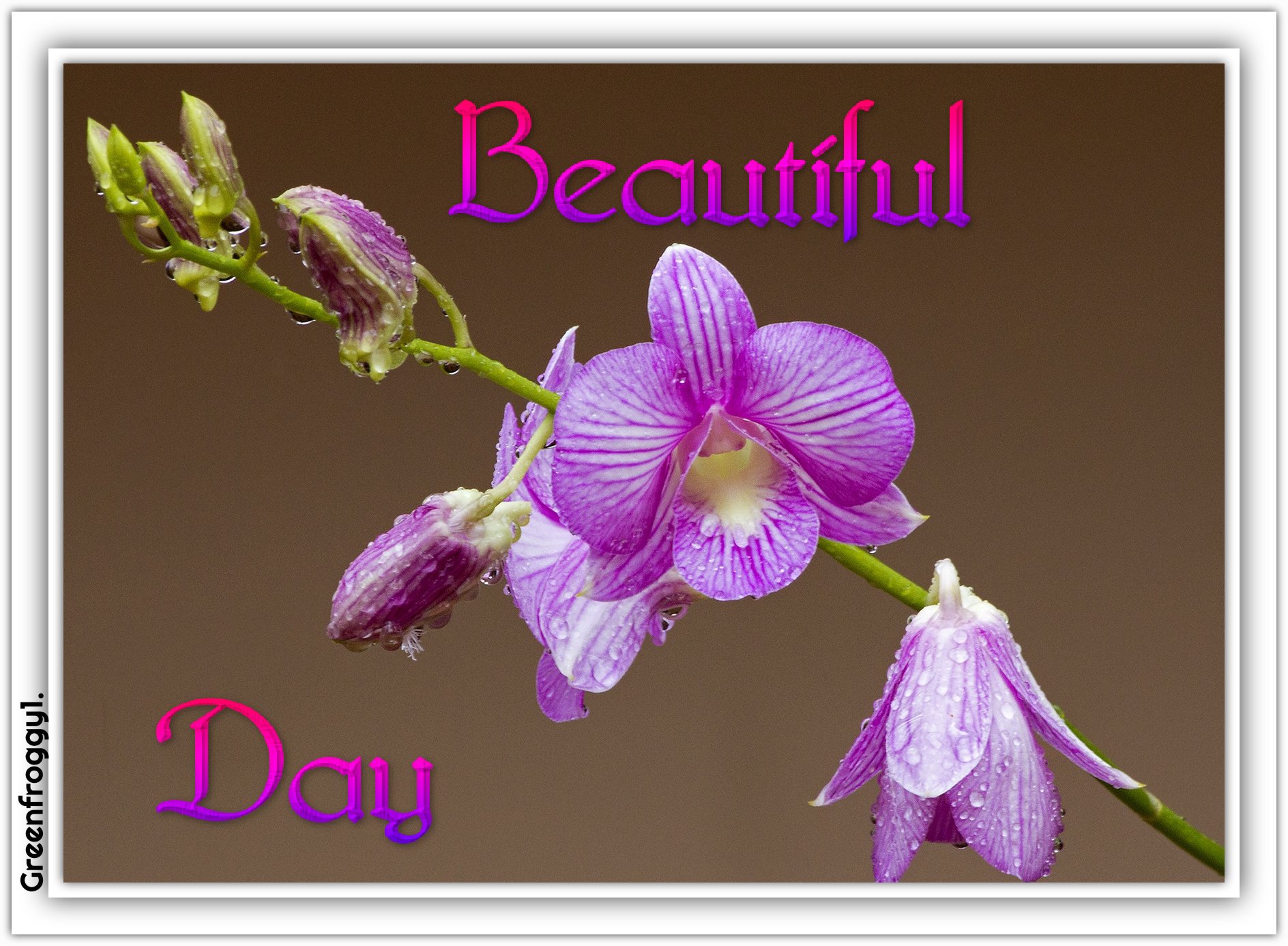 BEAUTIFUL DAY Image - ID: 457508 - Image Abyss