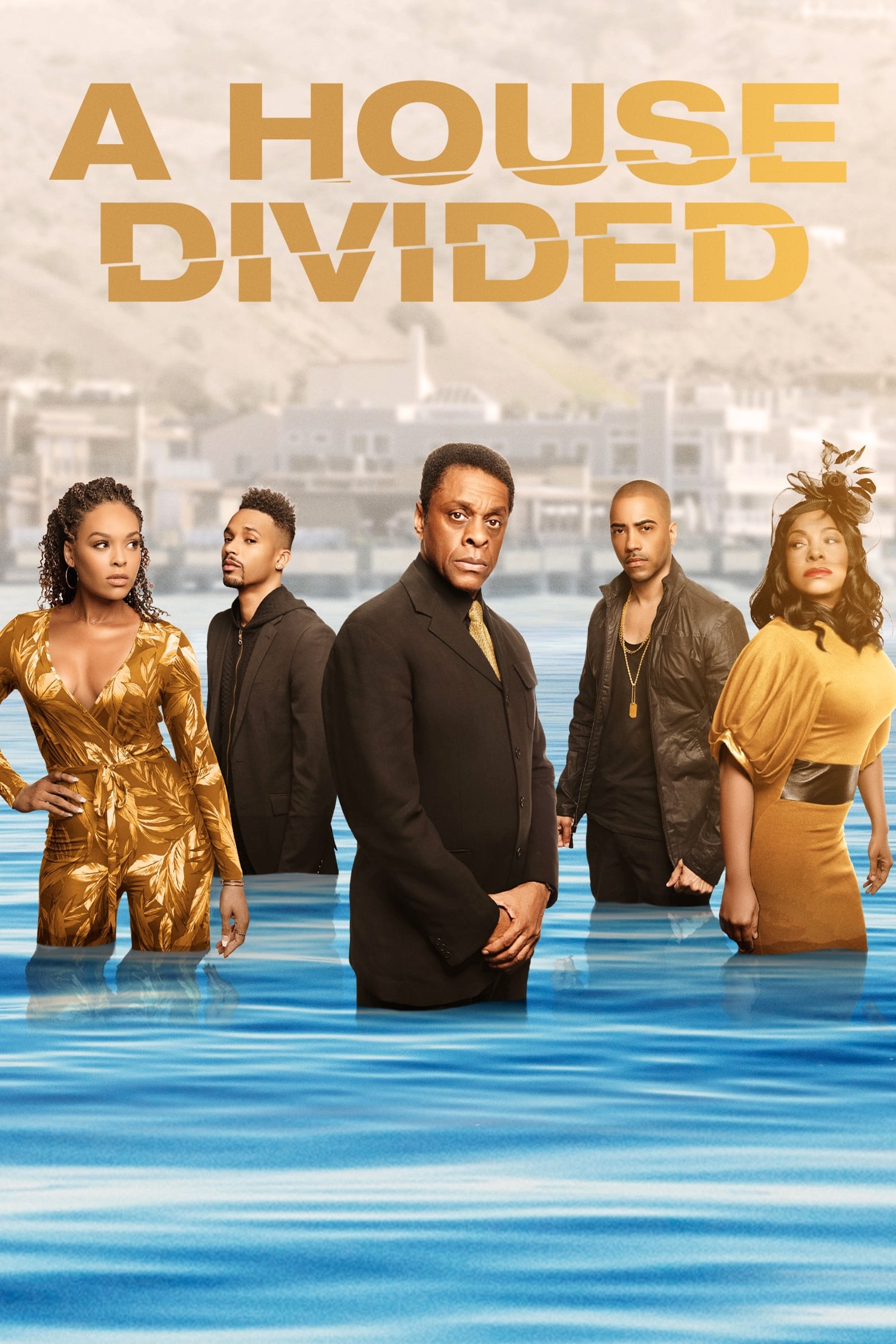 Download TV Show A House Divided Image