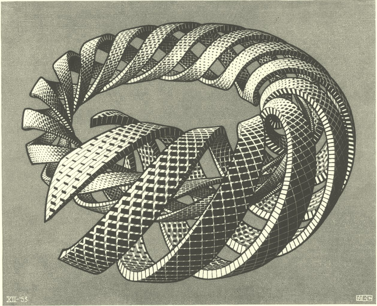 Intricate Forms: An Artistic Exploration