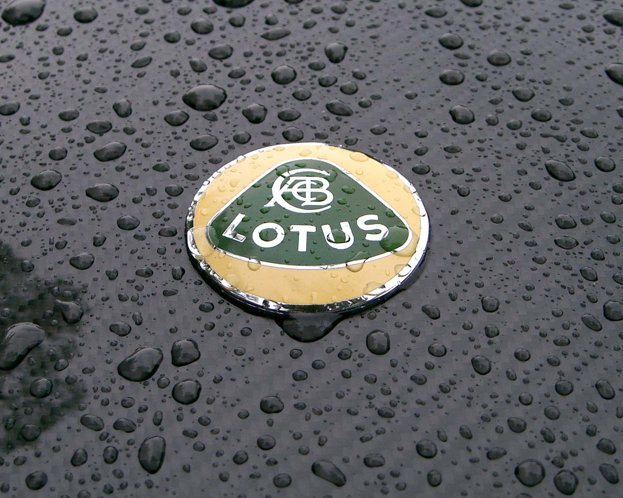 Lotus Emblem: Iconic Sports Car Badge in Raindrops