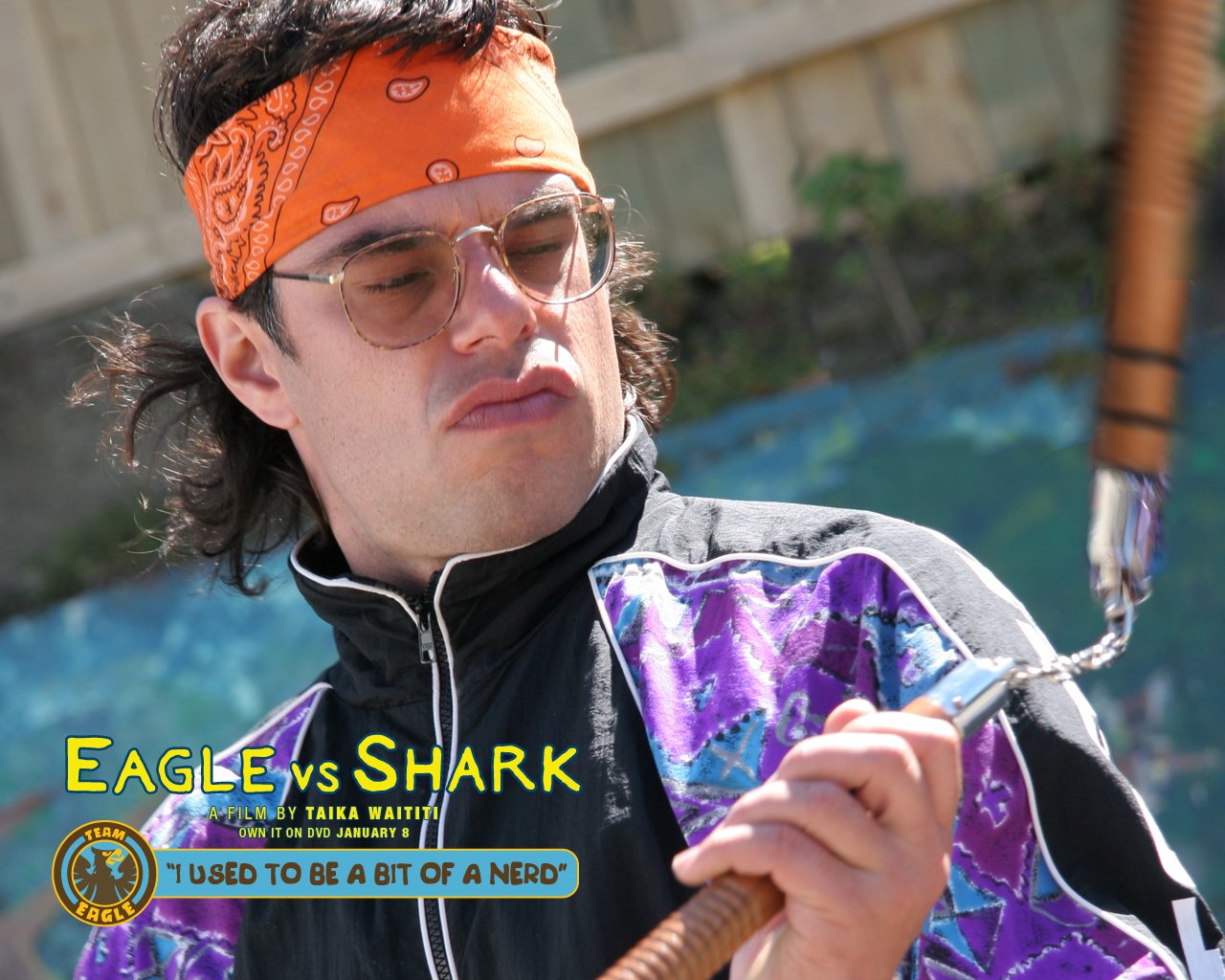 eagle vs shark Picture - Image Abyss