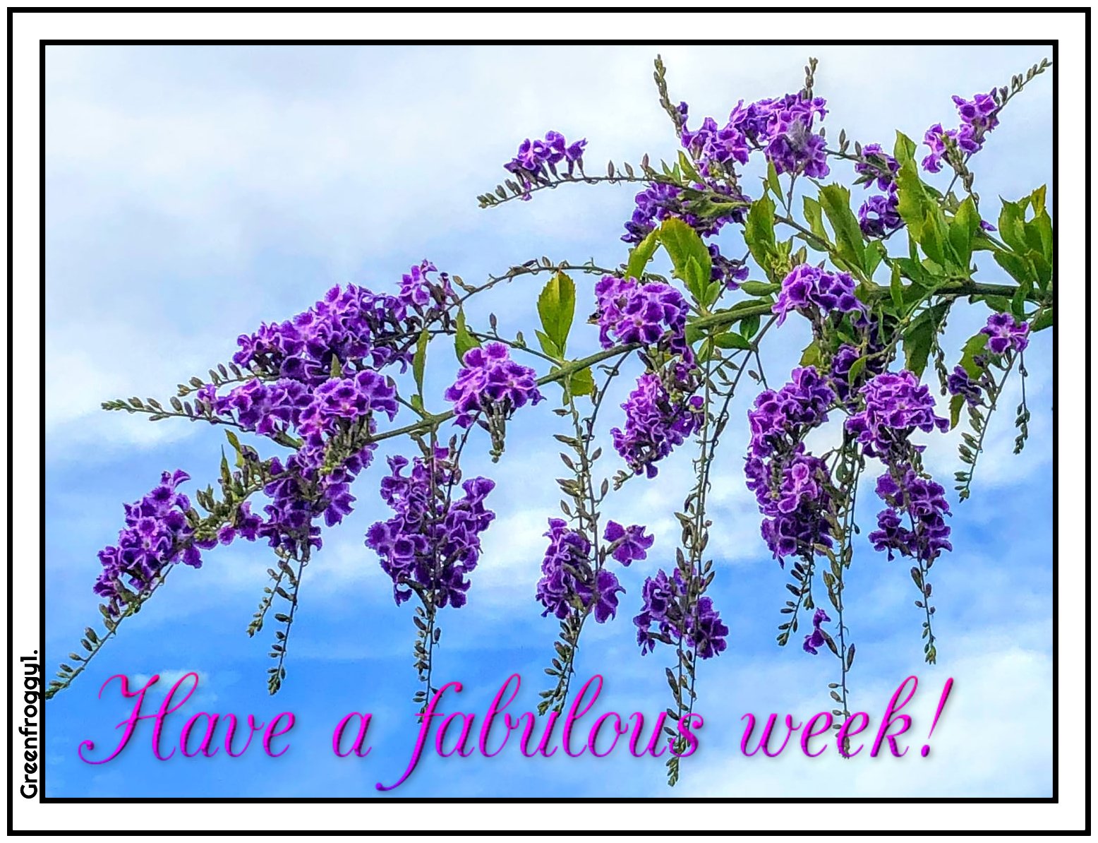 FABULOUS WEEK by GREENFROGGY1 - Image Abyss