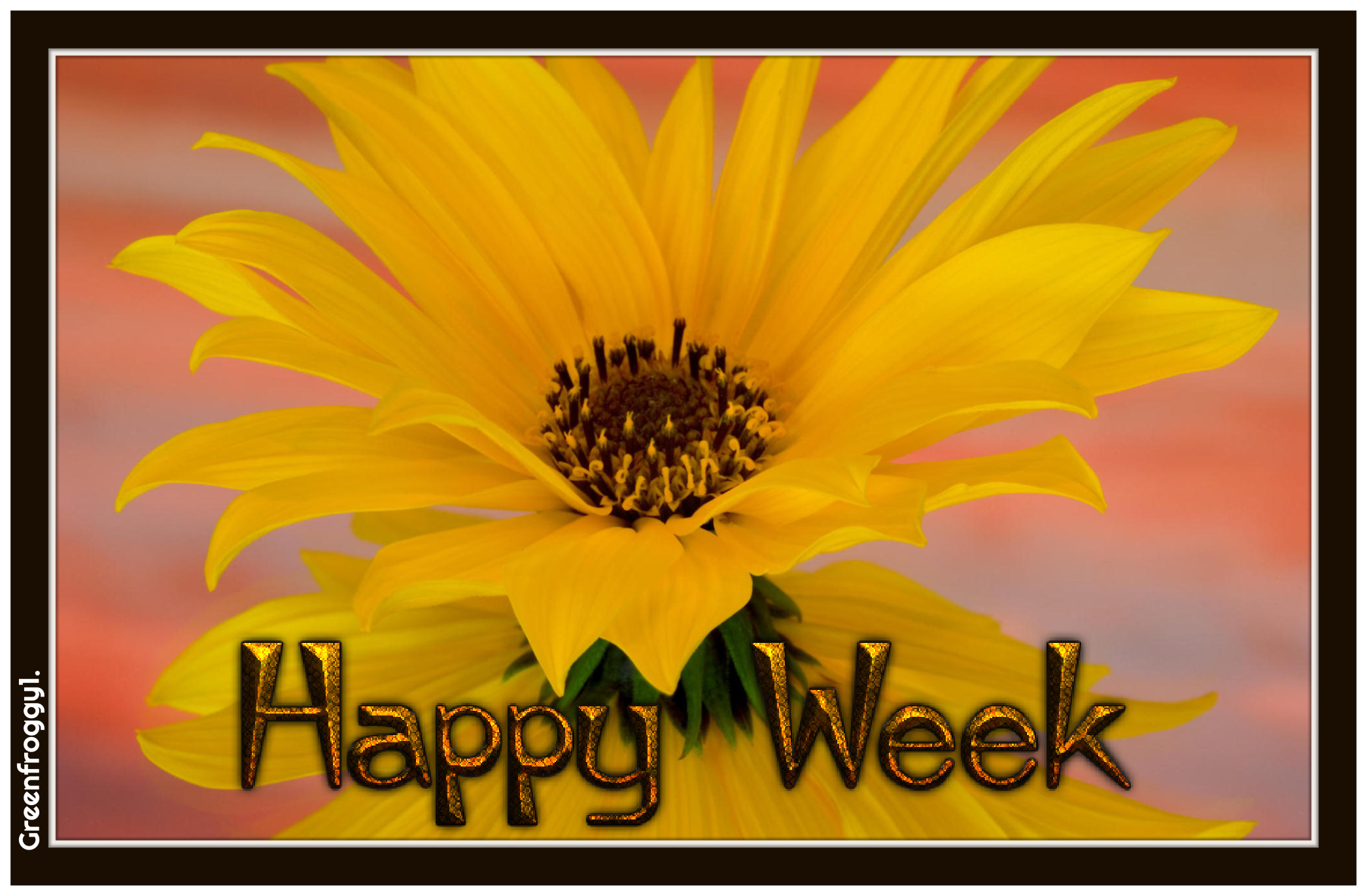 HAPPY WEEK by GREENFROGGY1 - Image Abyss