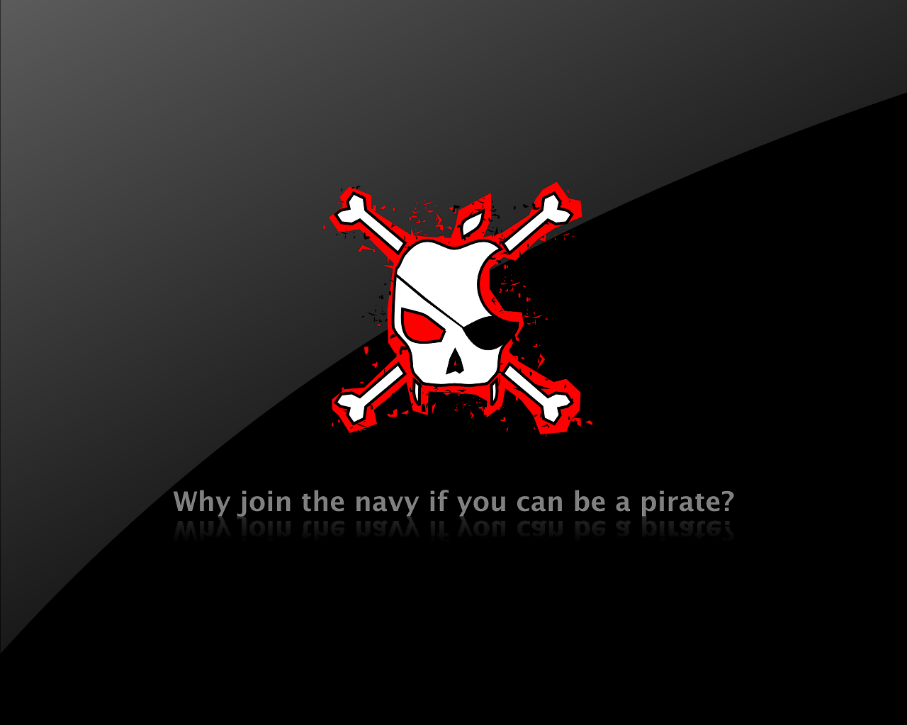 Embrace the Hacker Spirit: Pirate of Technology