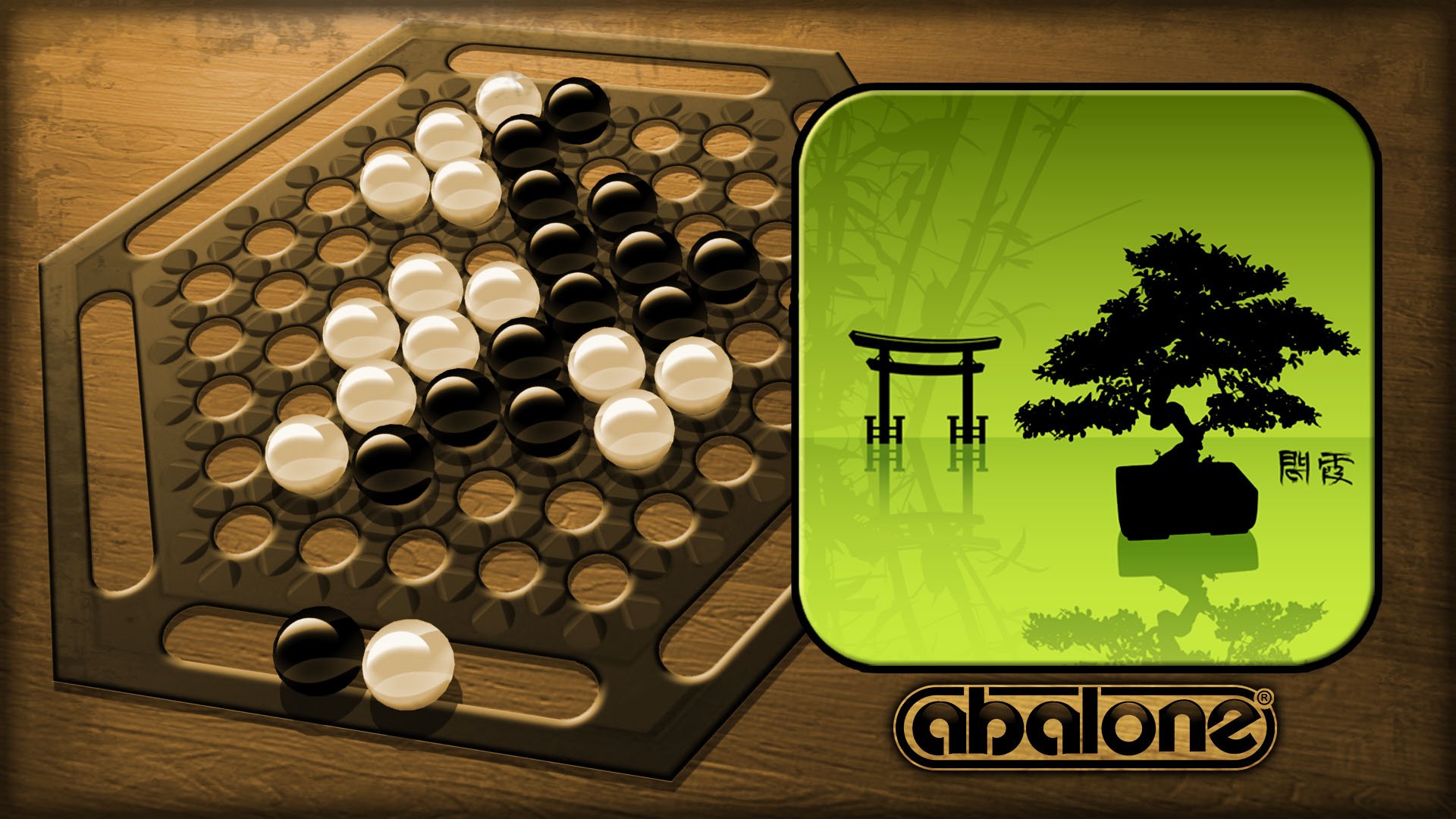 Abalone - Desktop Wallpapers, Phone Wallpaper, PFP, Gifs, and More!