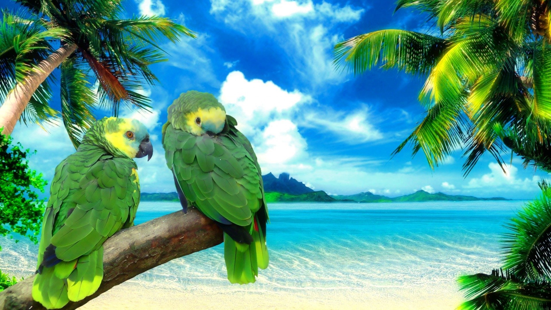 Tropical Parrots by the Shore