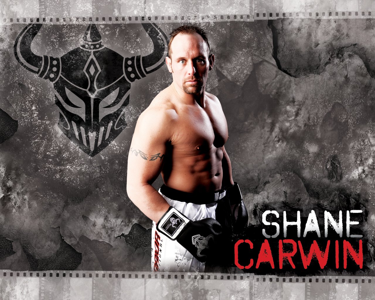Shane Carwin: MMA Warrior and Mixed Martial Arts Champion