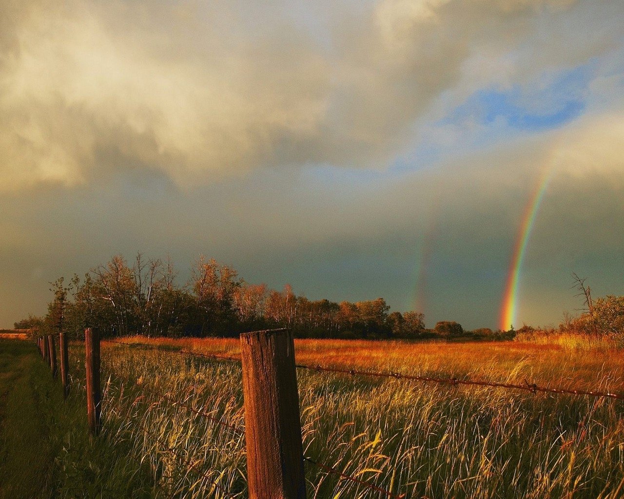 Nature's Promise: A Stunning Rainbow Over Tranquil Fields