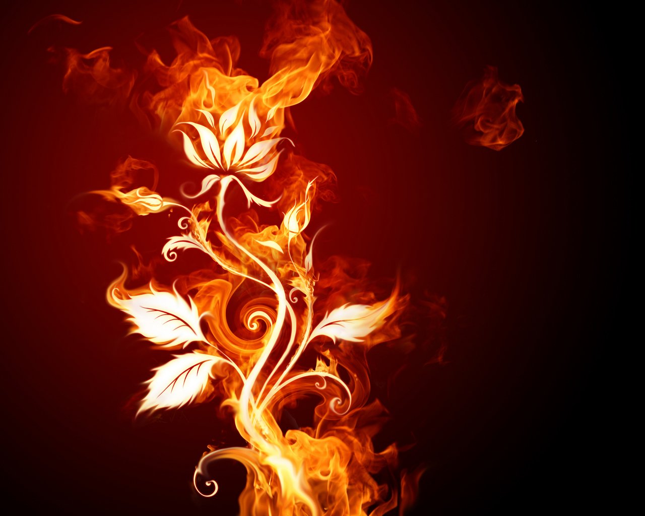Download Artistic Elemental Image