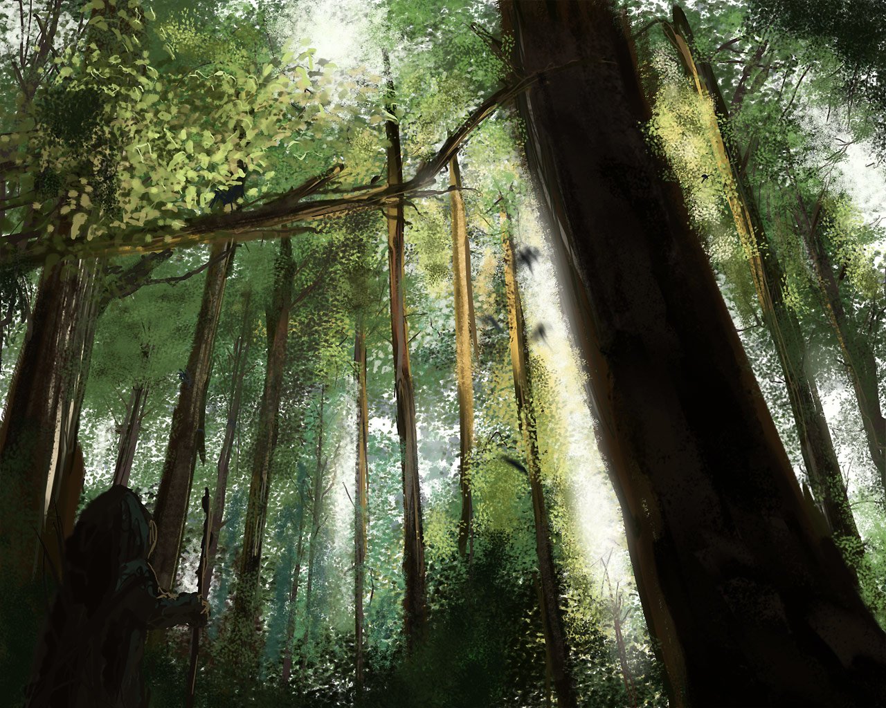 Download Nature Forest Image