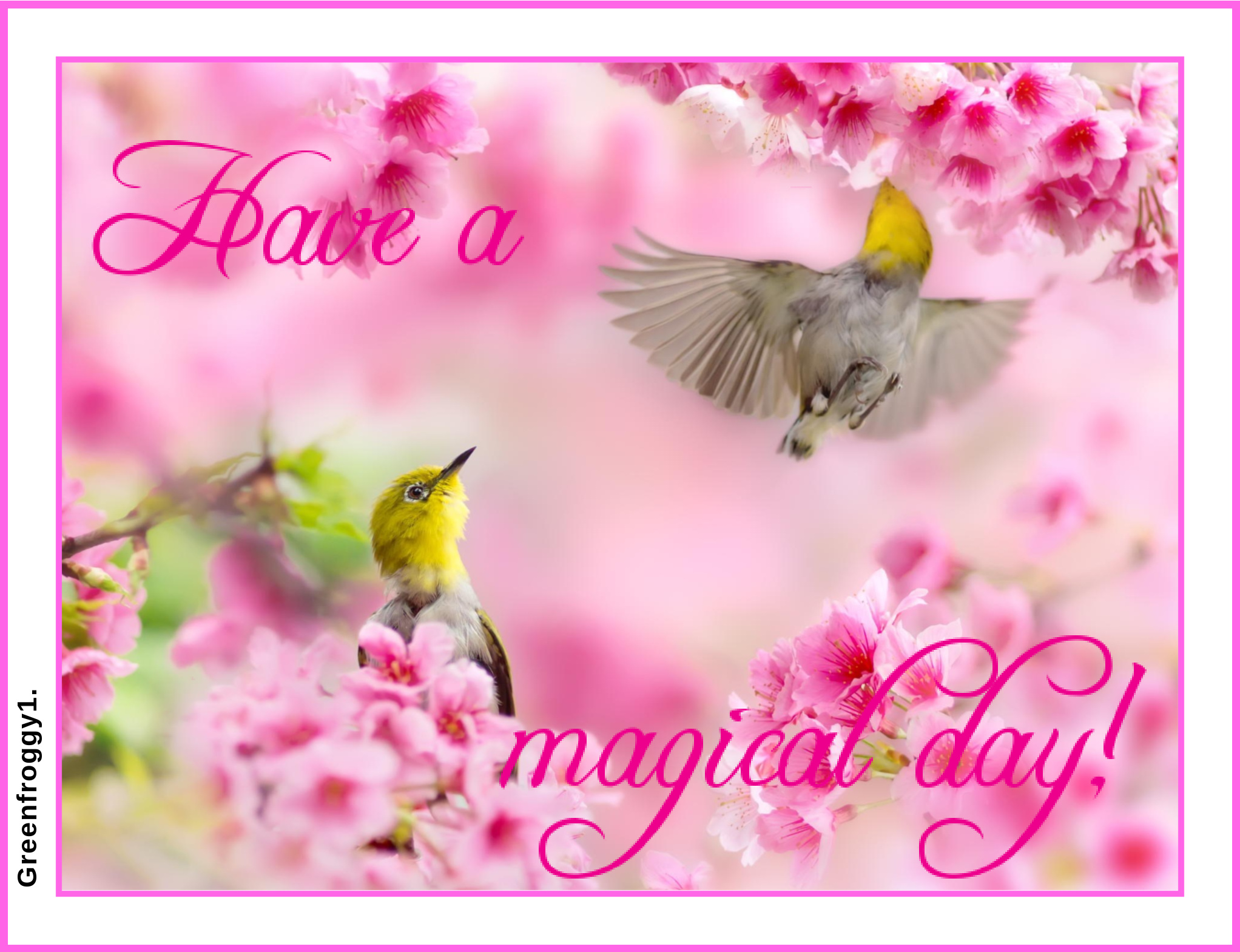 MAGICAL DAY by GREENFROGGY1 - Image Abyss