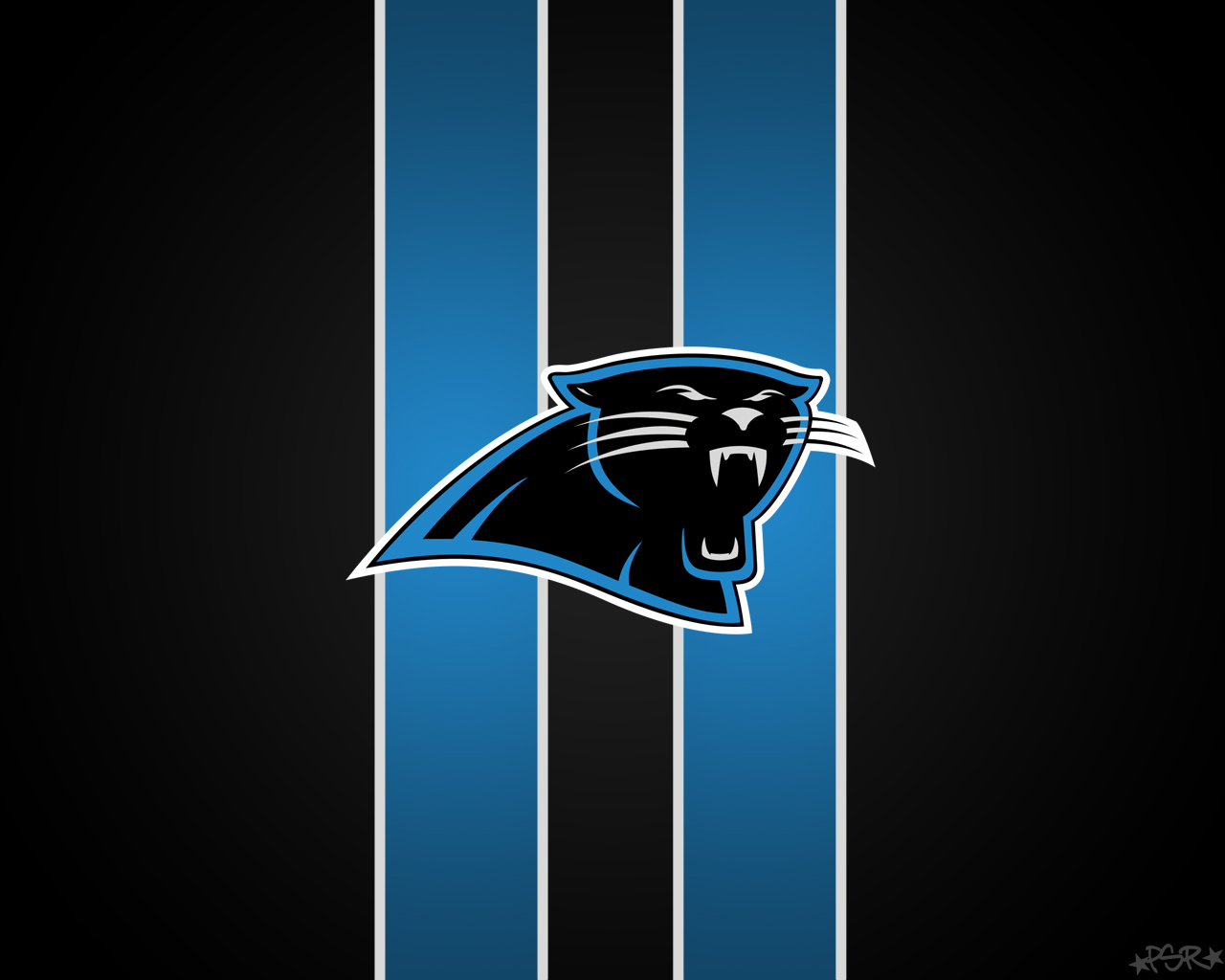 Download Carolina Panthers Sports Image