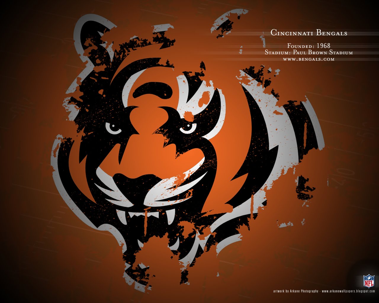 Download Cincinnati Bengals Sports Image