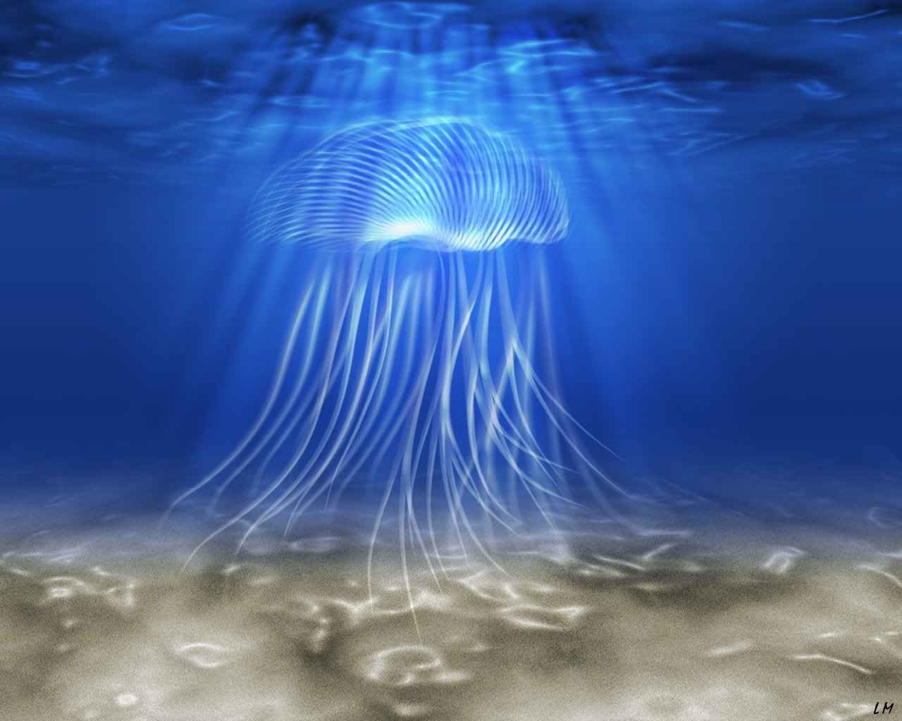 Graceful Jellyfish Underwater