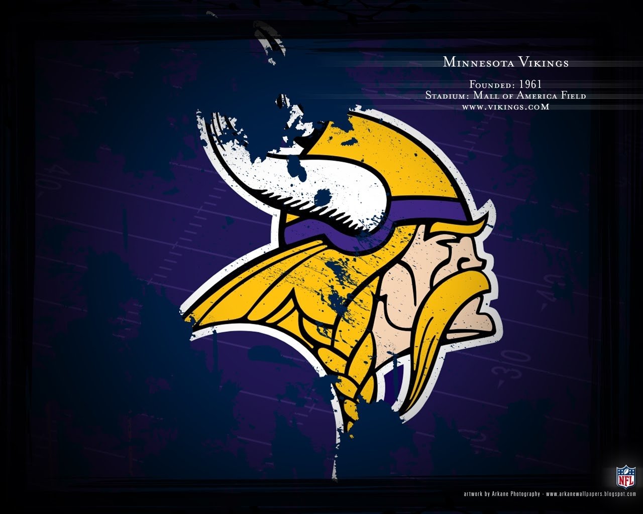 Minnesota Vikings - Desktop Wallpapers, Phone Wallpaper, PFP, Gifs, and ...