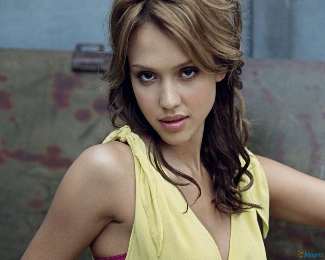 Spotlight on Celebrity Jessica Alba