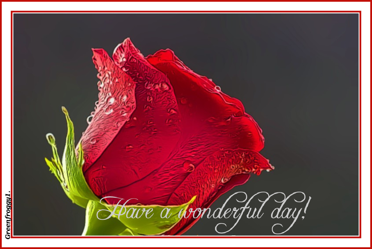 WONDERFUL DAY by GREENFROGGY1 - Image Abyss