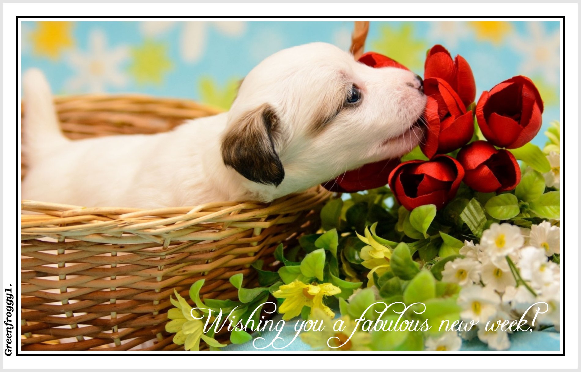 FABULOUS NEW WEEK Image - ID: 481348 - Image Abyss