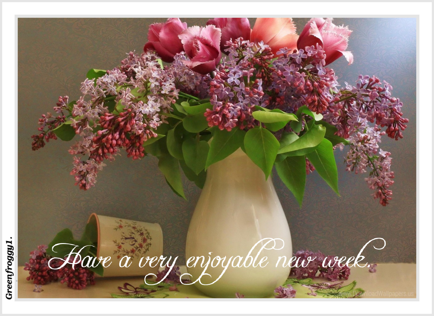 ENJOYABLE NEW WEEK by GREENFROGGY1