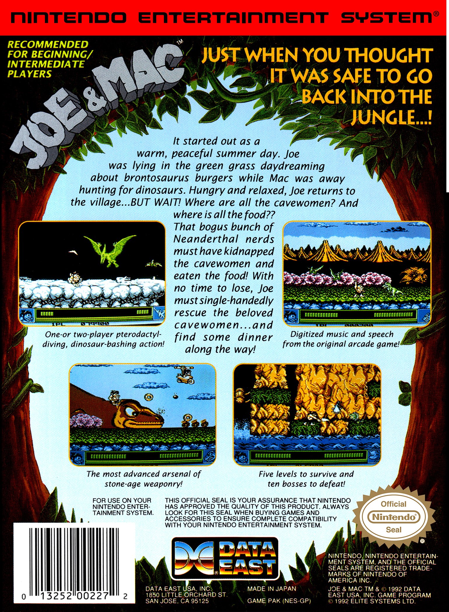 Download Video Game Joe & Mac Image